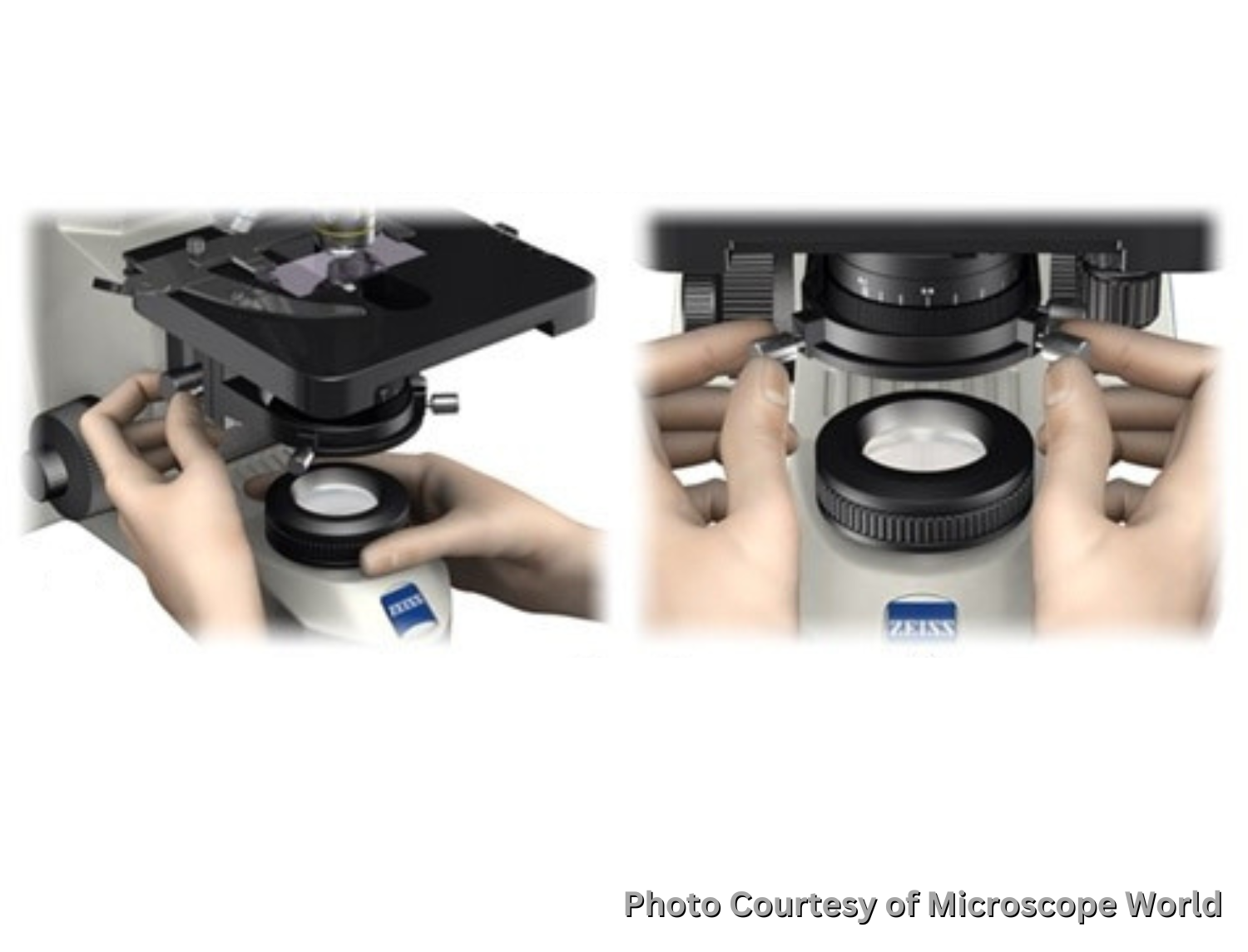 Refining Microscopy: Kohler Illumination - Radiant History